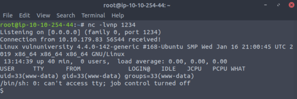 What Port Is The Web Server Running On Tryhackme - Techstera