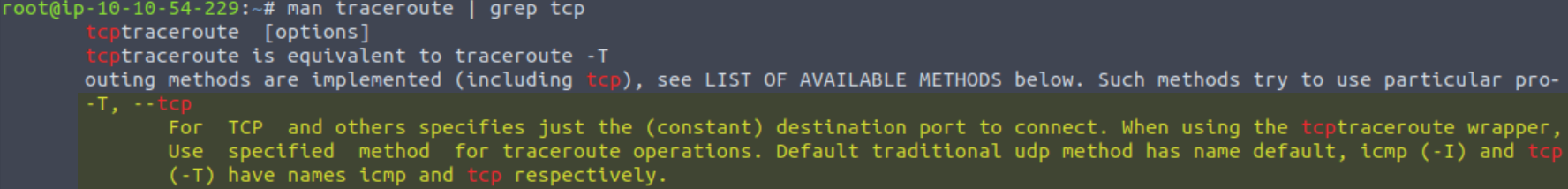 TryHackMe - Introductory Networking - Walkthrough - Electronics Reference