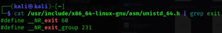 Linux Syscalls In Assembly Electronics Reference 9746